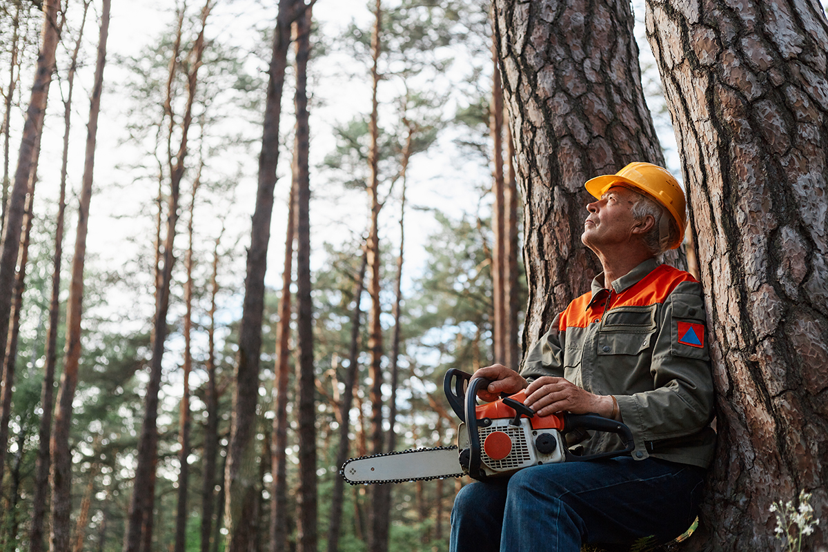 Tree Workers Are At High Risk Of Injury - Sadow and Froy